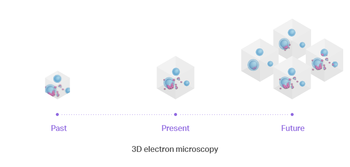 FAST-EM | Ultra-fast automated multibeam electron microscope