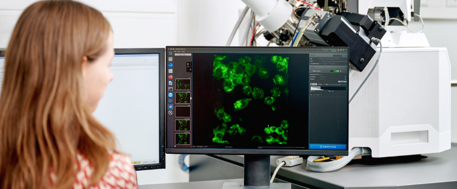 Optimize the Cryo-ET Workflow at Every Step | Delmic