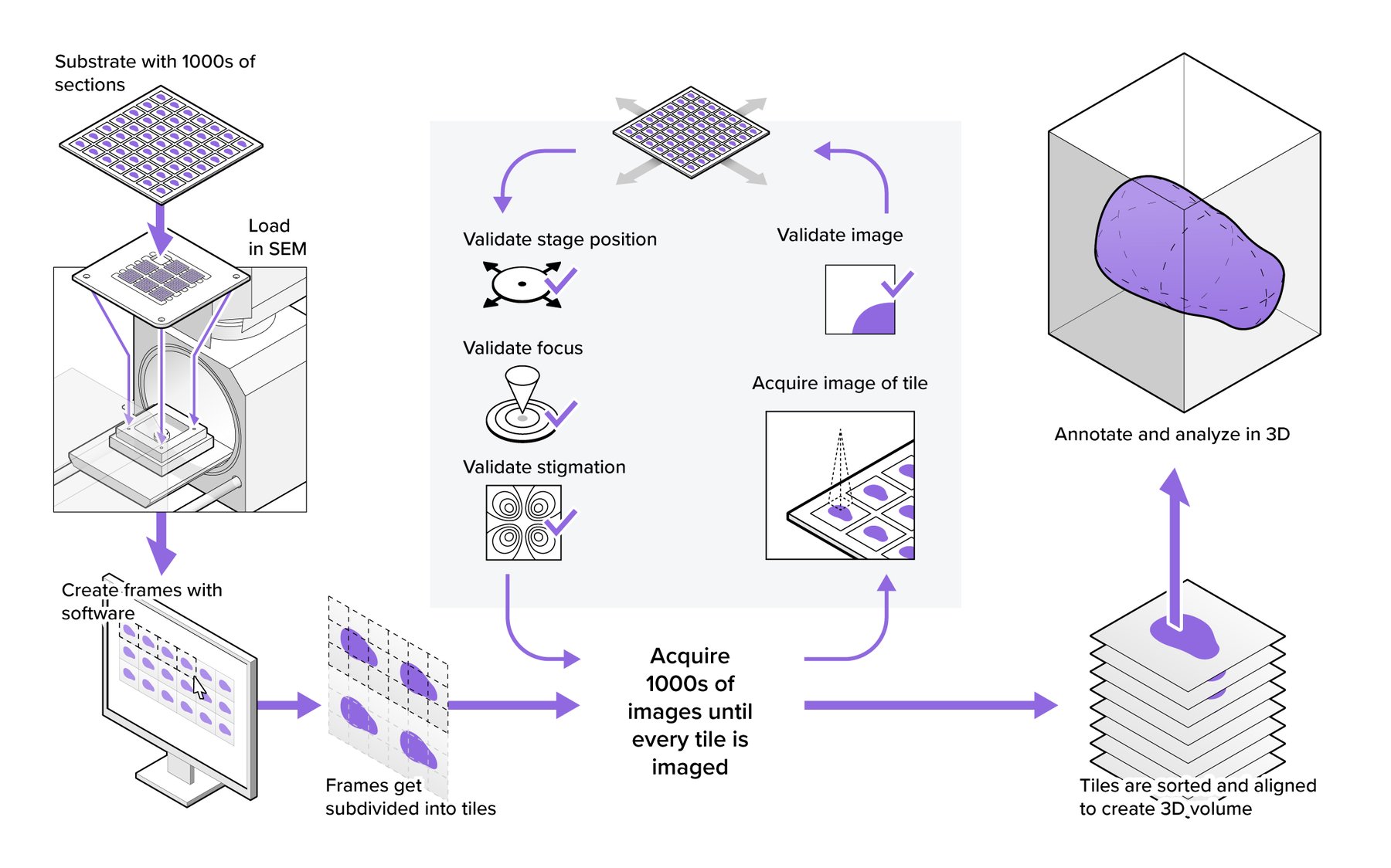 Fast SEM Imaging | Delmic