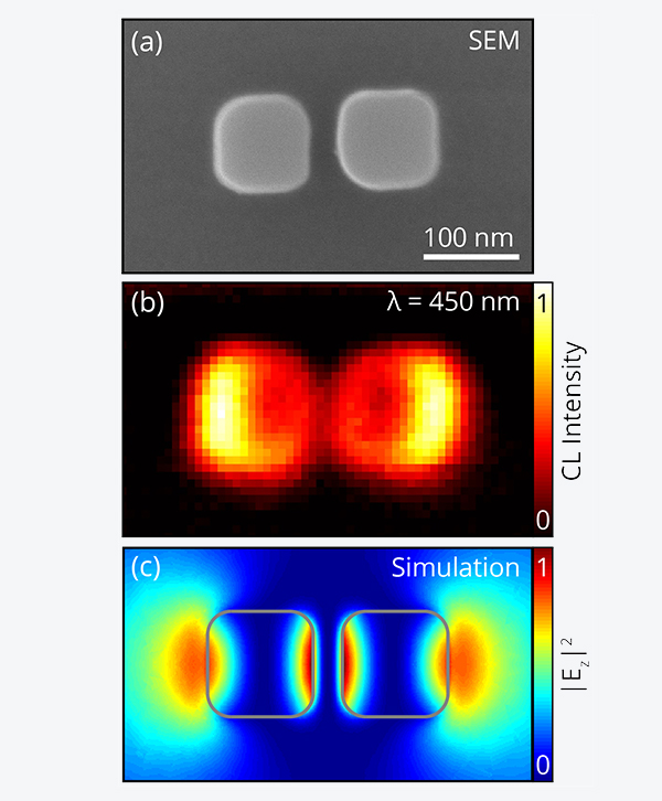 Delmic | Powerful insights, simple workflows