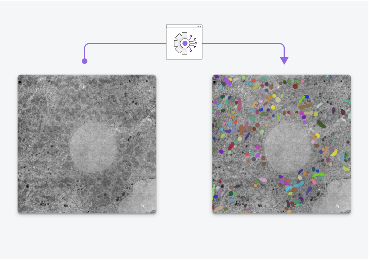 FAST-EM | Ultra-fast automated multibeam electron microscope