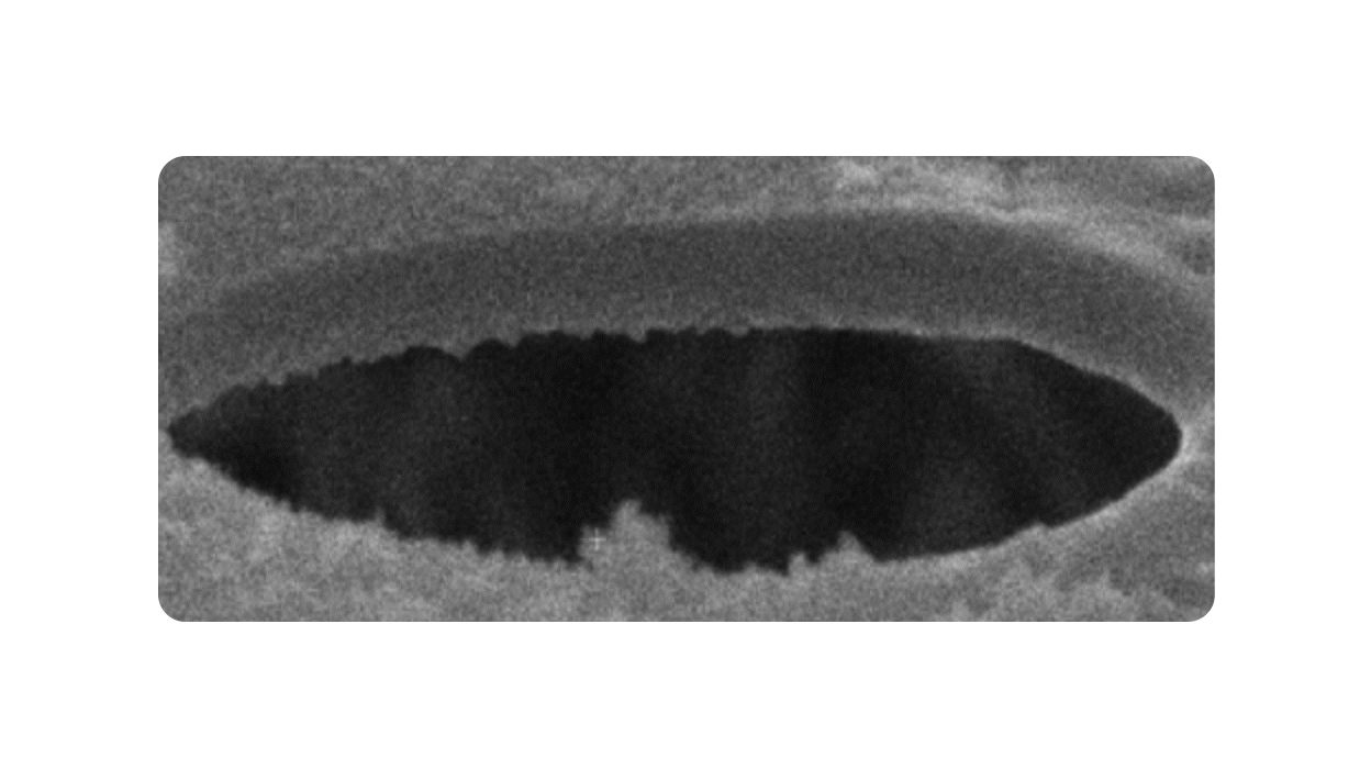 CERES Ice Shield | Ultimate protection against ice contamination