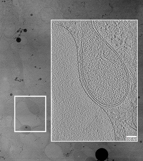 CERES Ice Shield | Ultimate protection against ice contamination