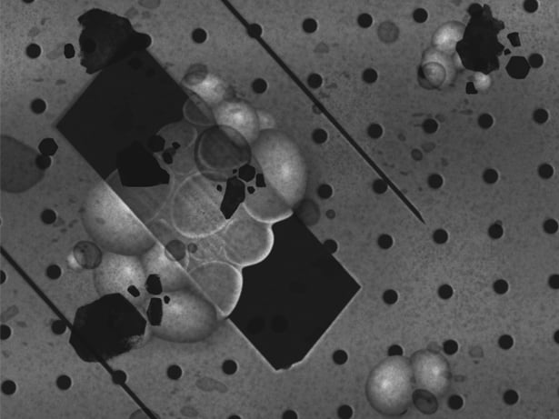 CERES Ice Defence System | Minimize ice contamination in cryo-EM workflow