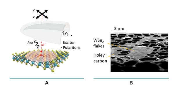 2D Materials | Reveal the local optical properties of 2D materials