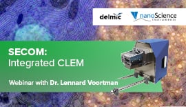 Correlative light and electron microscopy fundamentals