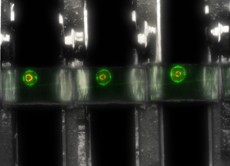 METEOR | Integrated high-quality fluorescence light microscope