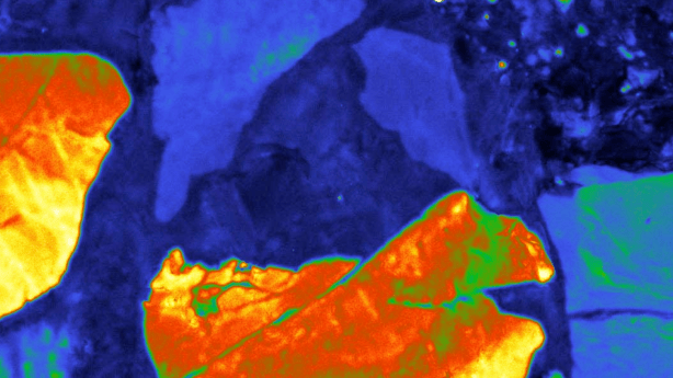 CERES Ice Defence System | Minimize ice contamination in cryo-EM workflow